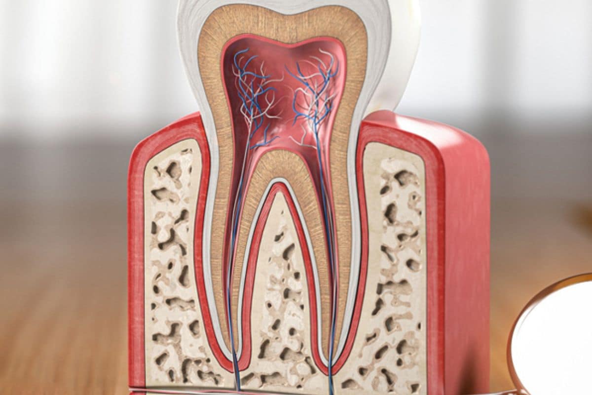 Root Canal After Failed Filling? Key Signs